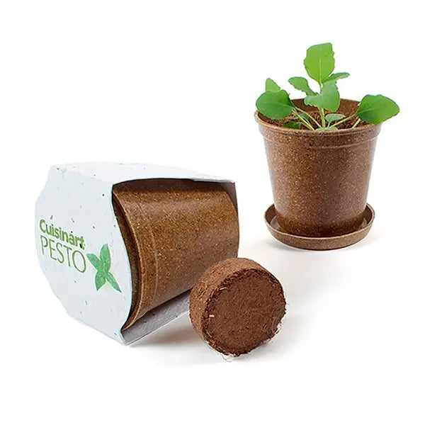 Bloomin Custom Mini Planting Kit with Seed Paper Wrap | EarthHero