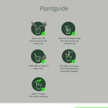Sprout Plantable Pencils | EarthHero